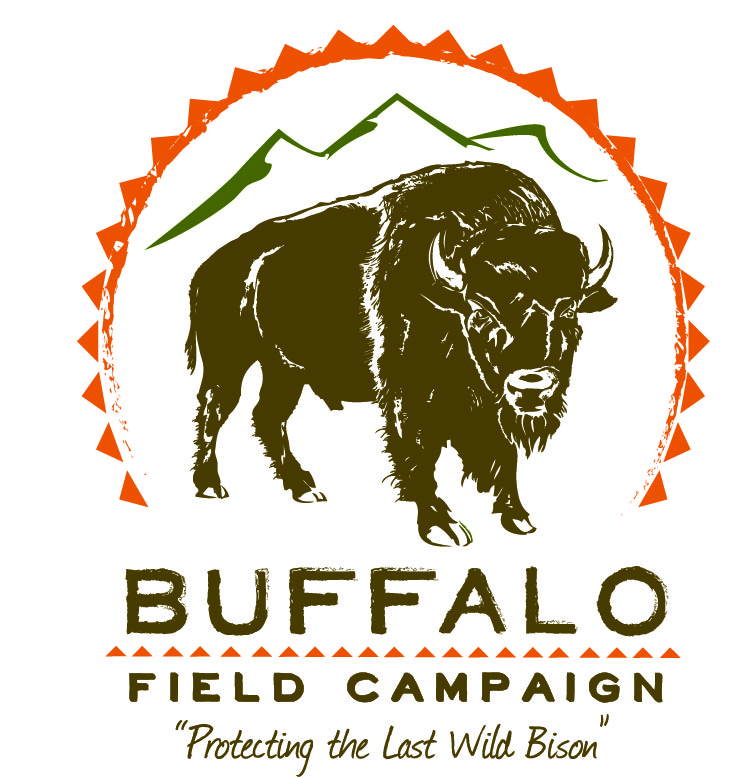 Special Alert! An endangered species status review for Yellowstone ...